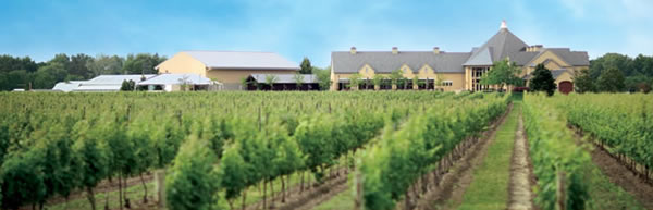 Strong sales growth for Andrew Peller Ltd as Peller Estates sweeps ...