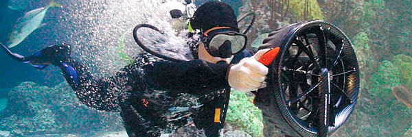 Wizz dives underwater with Bladefish : The Moodie Davitt Report -The ...